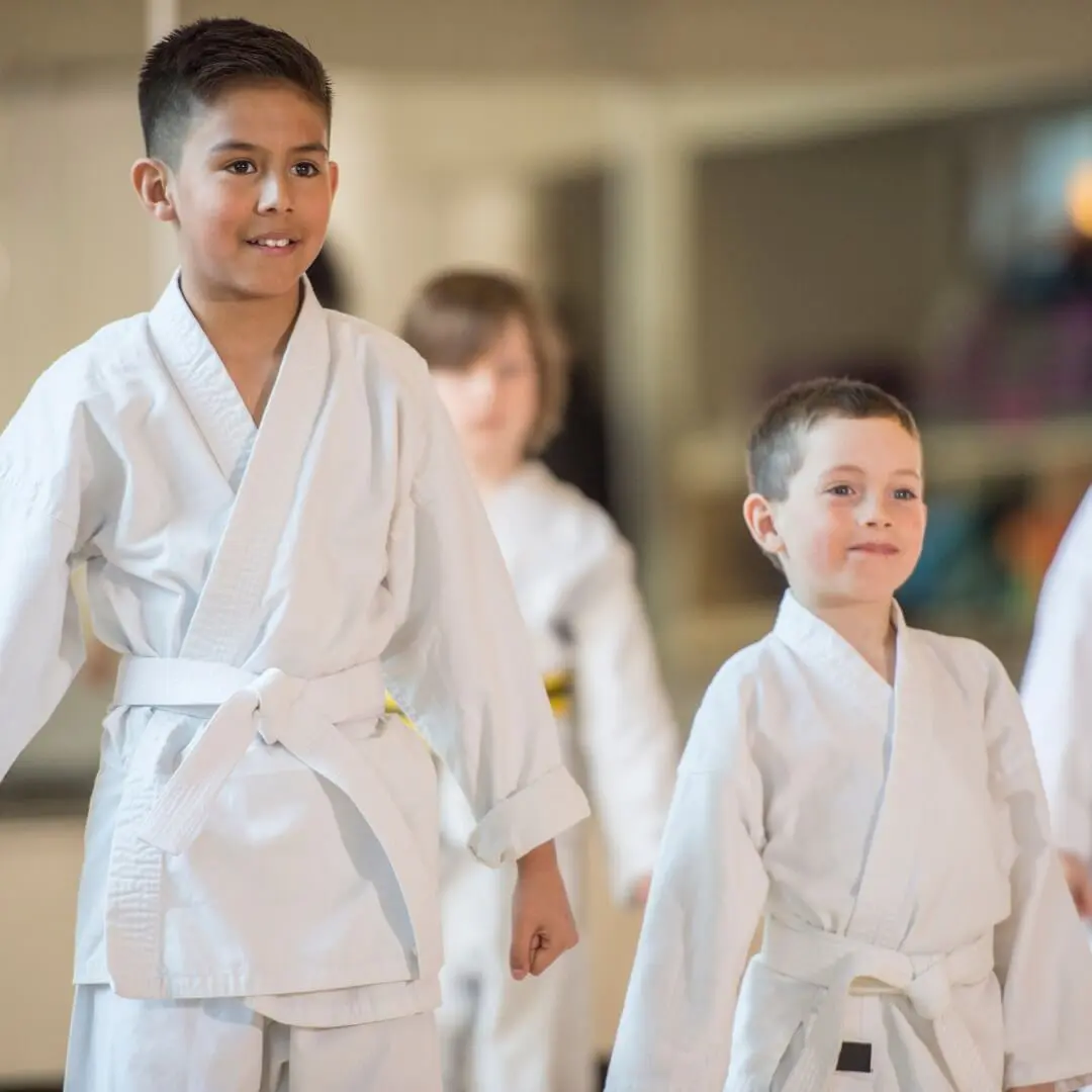 Summer Class Special | No Limits Martial Arts Milton